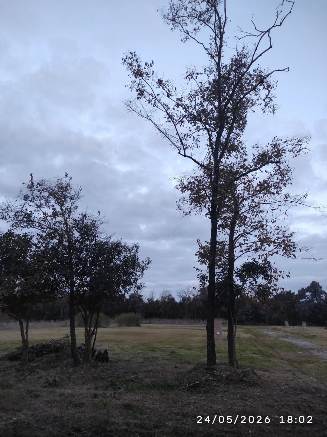 Terrenos y lotes en venta 0 ambiente en Eco Aldea 0, Belen de Escobar ...